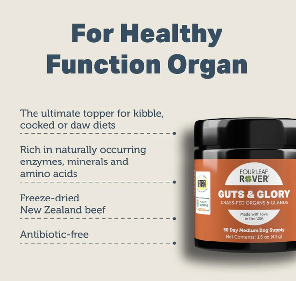 Guts & Glory - Grass-Fed Organs - Chew Time