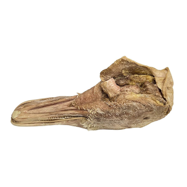 Freeze Dried Chicken Head - Chew Time
